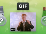 What Is A Gif File And How Do You Use It In 2025 Video Candy Blog